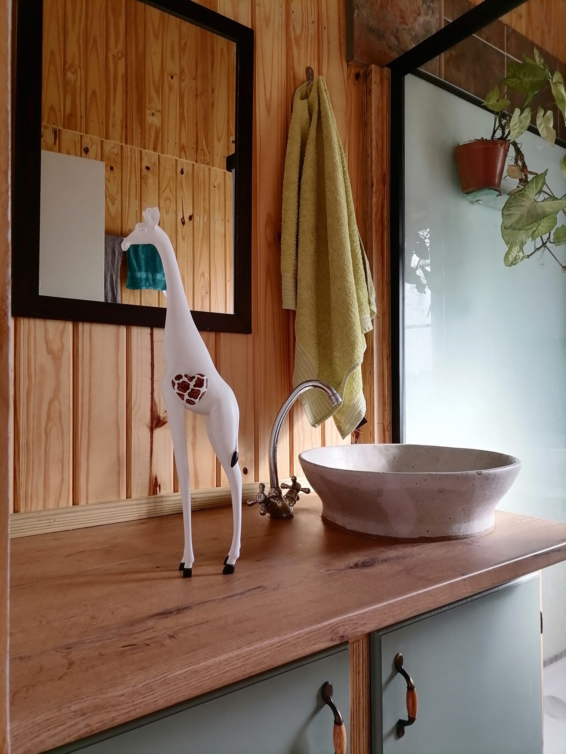 white giraffe • AYA Africa